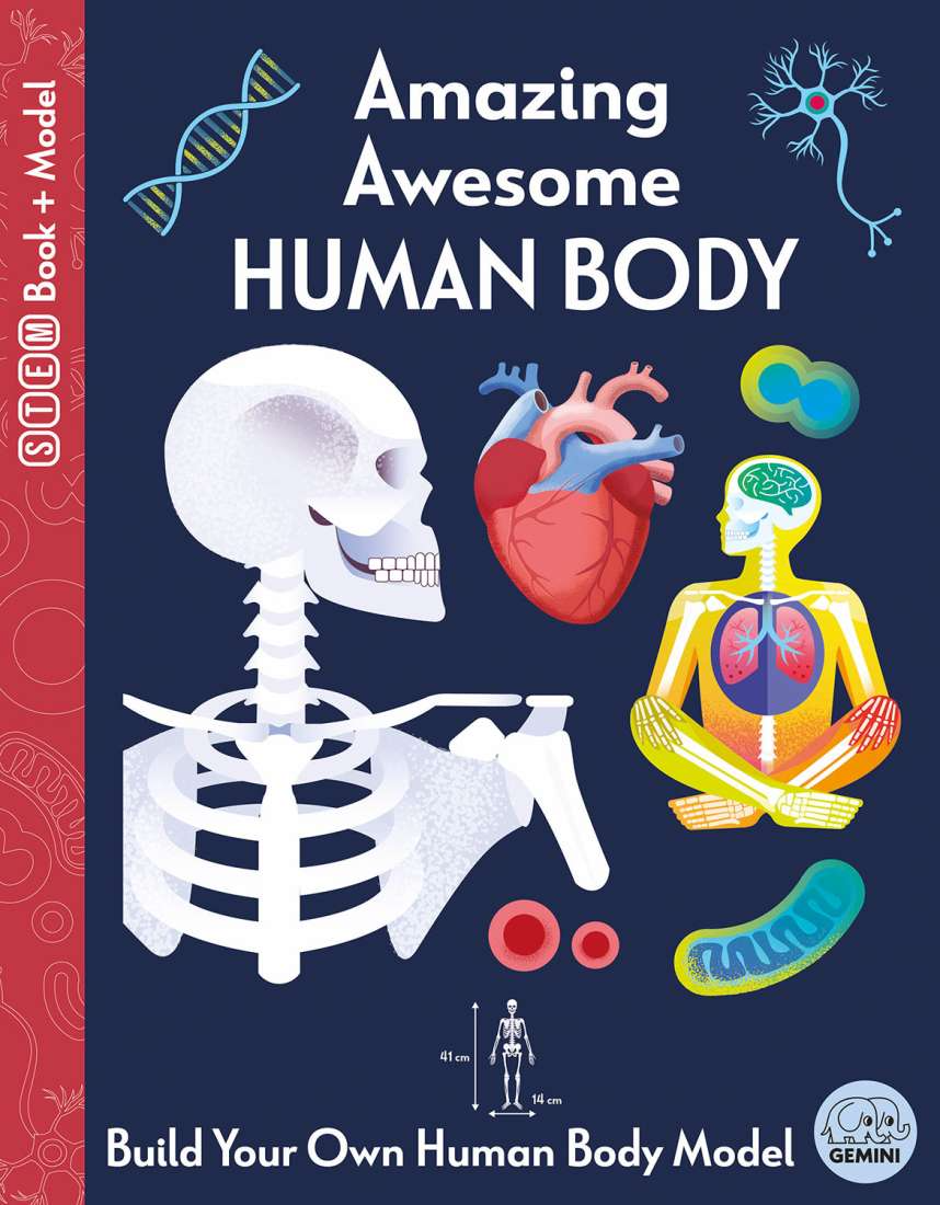Amazing Awesome Human Body – Terrific Scientific