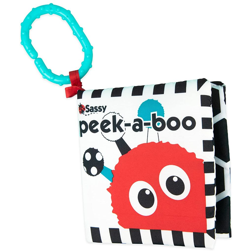 Peek-a-Boo Book – Terrific Scientific