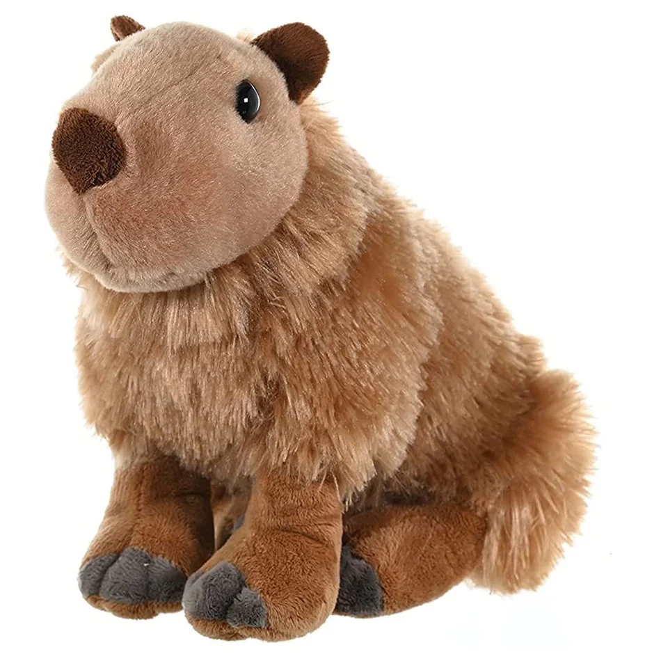 Cuddlekins Capybara 12" – Terrific Scientific
