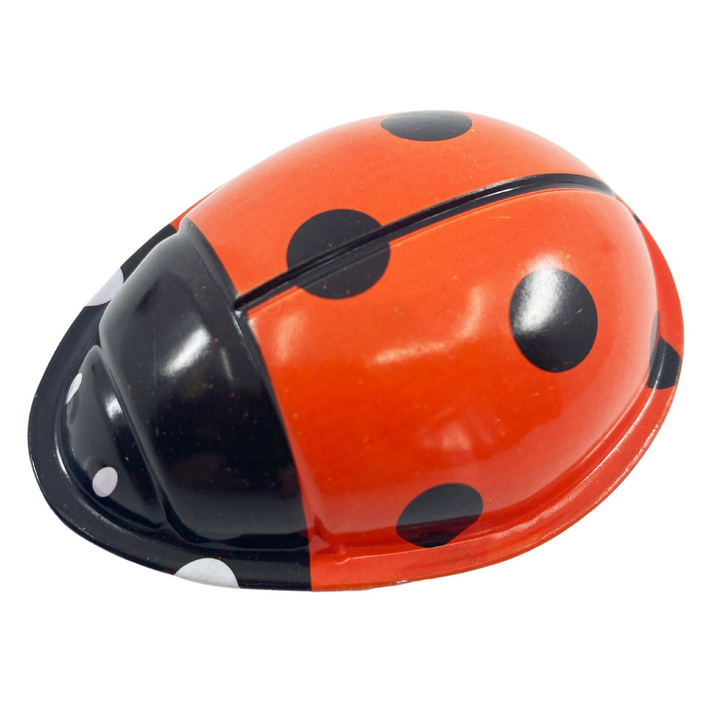 Click Clack Ladybird – Terrific Scientific