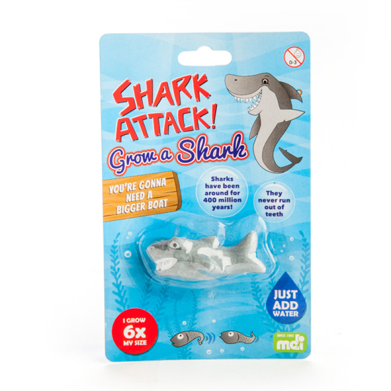 Grow A Shark – Terrific Scientific