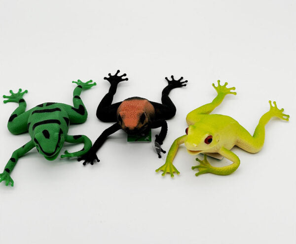Stretch Frog – Terrific Scientific